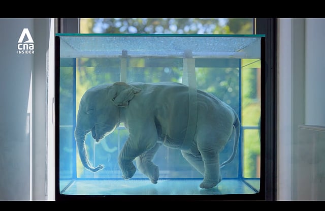 Review: The science behind ‘de-extinction’ in Resurrection Quest docu ...