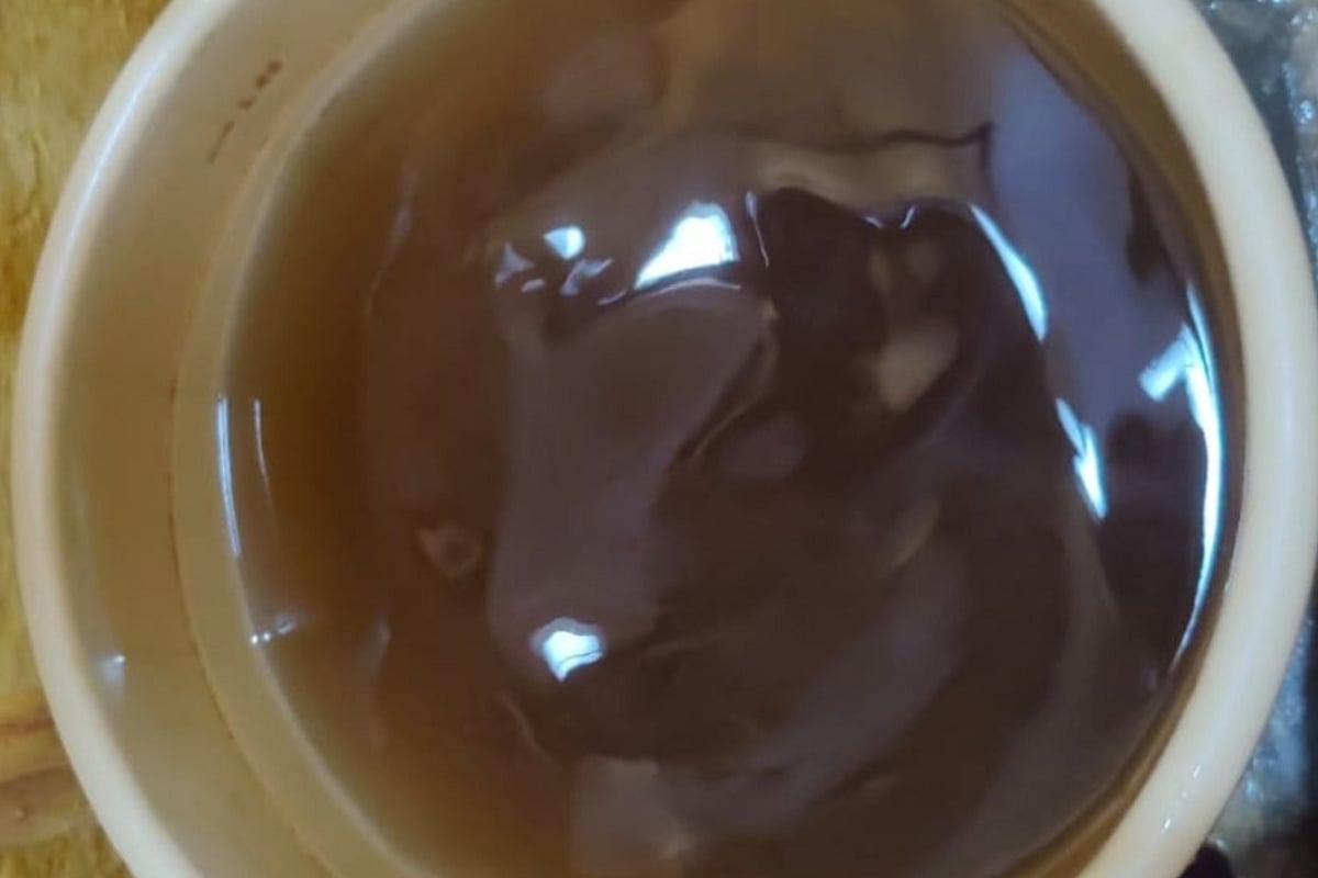 Rust, sand in North Chennai’s drinking water, residents say authorities ...