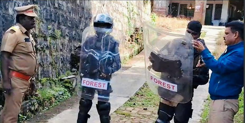 Leopard's entry into Nilgiris home causes scare, Forest Dept yet to ...