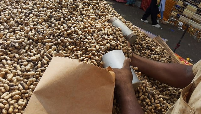 Kadlekai Parishe 2023: A peek into the legacy of Bengaluru's peanut ...