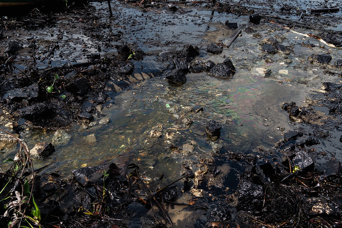 Ennore oil spill in pictures: Fisherfolk plagued by contamination, loss ...