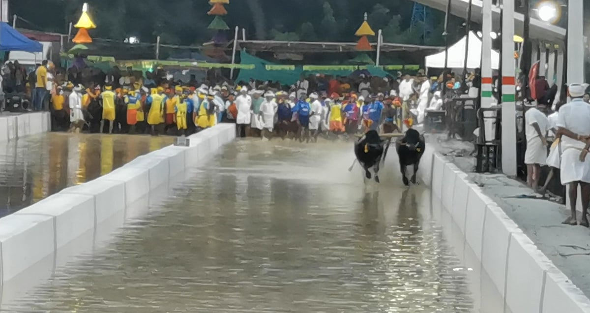 Why a Malekudiya man's win at Bengaluru Kambala shatters centuries of ...