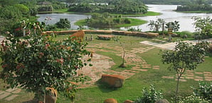 TN environmental group asks govt to stop Perungudi eco-park construction