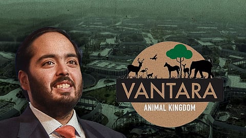 Investigation raises questions on zoo transfers to Reliance-run Vantara