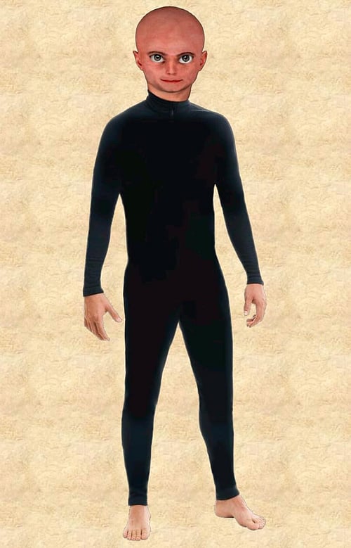 Death of Keralites in Arunachal: Investigation suggests they believed ...