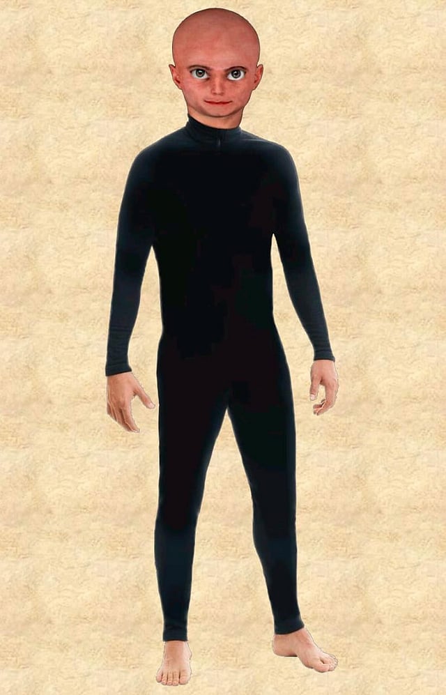 Death of Keralites in Arunachal: Investigation suggests they believed ...