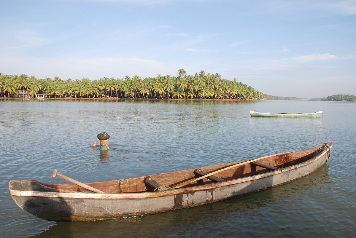How a Gulf-returnee used mussel farming to empower women in a Kasaragod ...