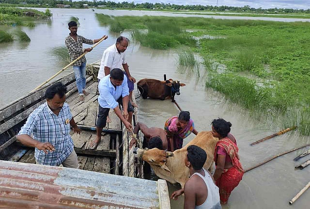 Assam Floods 8 More Deaths 23 Lakh Affected