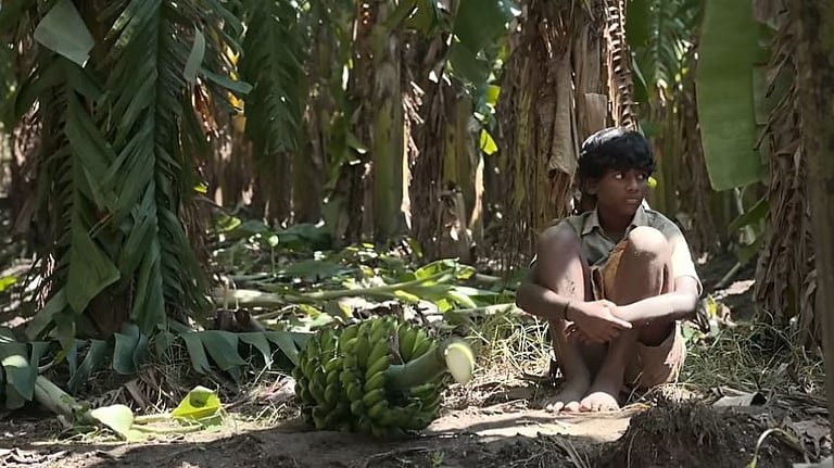 Vaazhai review: Mari Selvaraj’s film on pain and power is deeply evocative