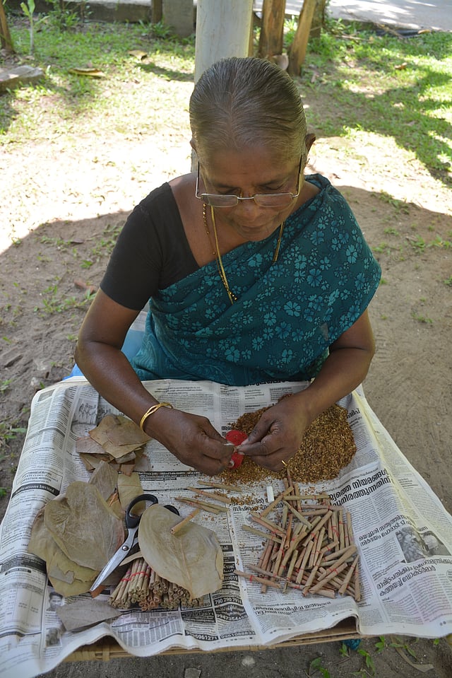 Kumbalangi, India’s first eco-friendly village, a model for sustainability