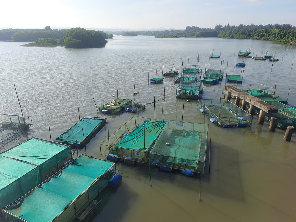 The Sharavathi and Aghanashini rivers: The contrasting stories of ...