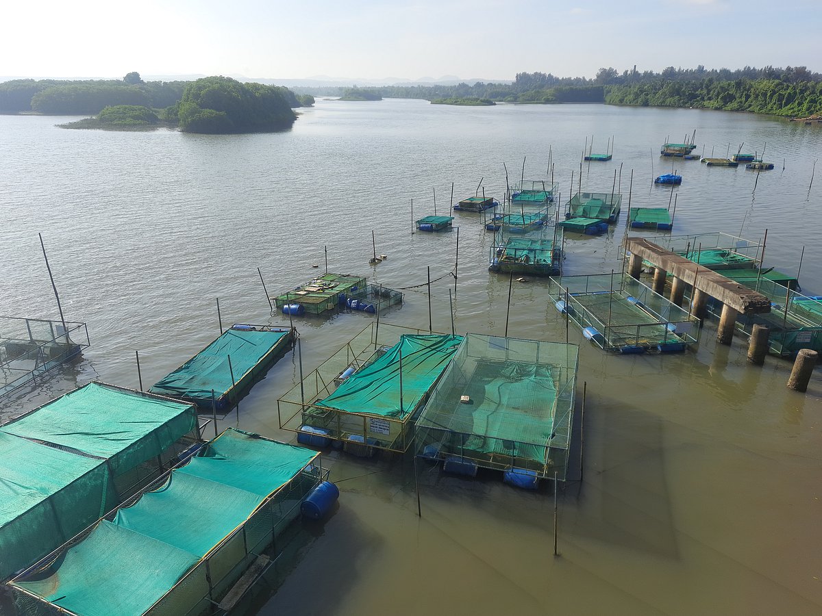 The Sharavathi and Aghanashini rivers: The contrasting stories of ...