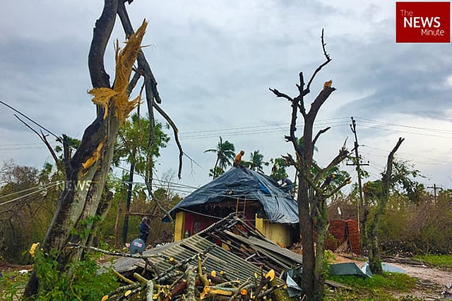 Cyclone Gaja: A story of devastation in pictures