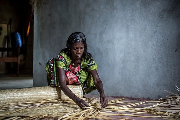 Protecting forests with law: What Tamil Nadu can learn from Kerala’s ...