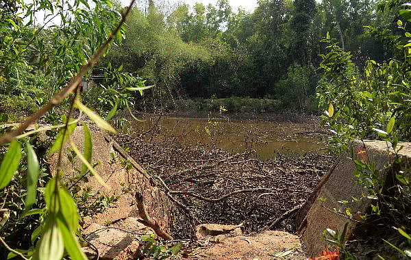 ‘Exorcising’ a ghost to save a pond: Heartwarming story from Kerala ...