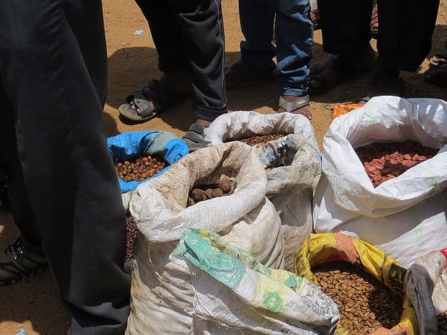 How IISc scientists are seed bombing a barren land in Karnataka using ...