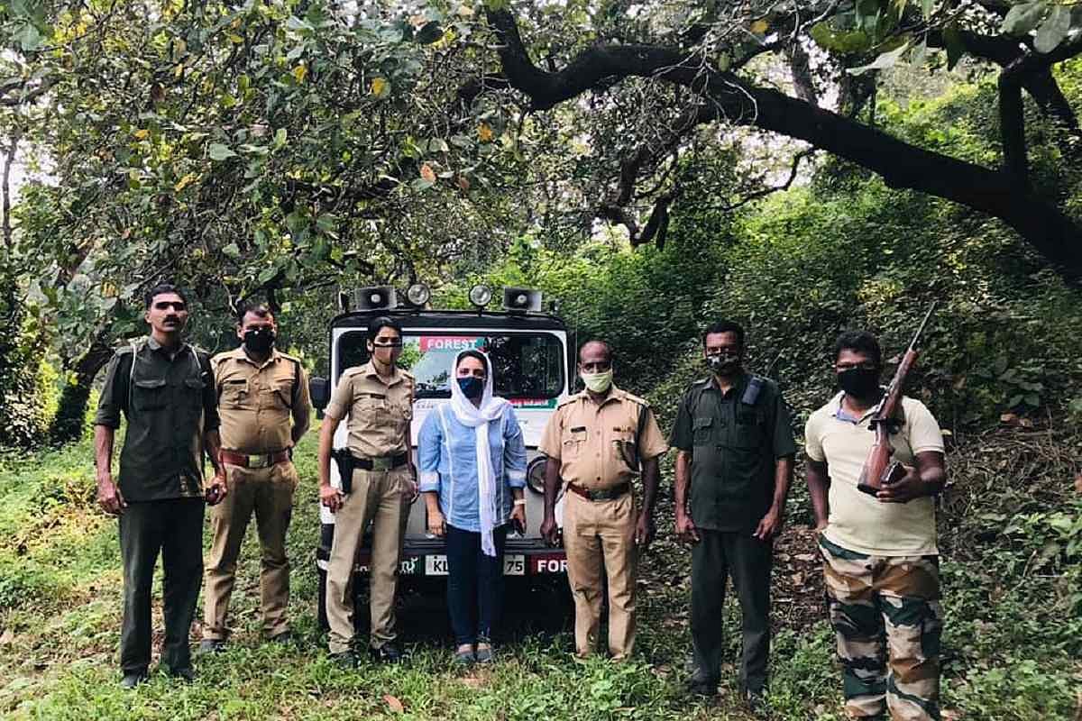 Wild elephants continue to invade Kerala’s Aralam farm, leave tribal ...