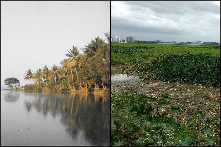 In pictures: Photos of Bellandur lake from 1989 show what Bengaluru has ...