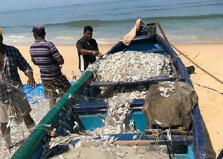 Traditional fishing gets green light in coastal Karnataka