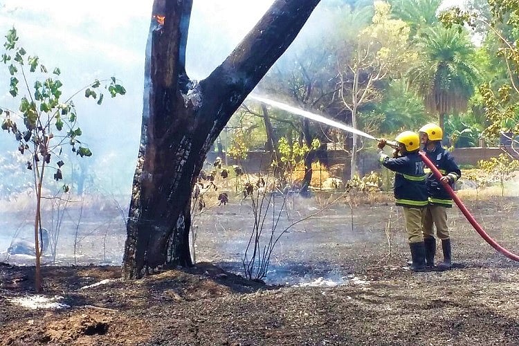 Fire breaks out at Hyderabad zoo, all animals safe