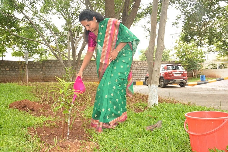 Haritha Haram: TRS MP Kavitha plants saplings, throws green challenge ...