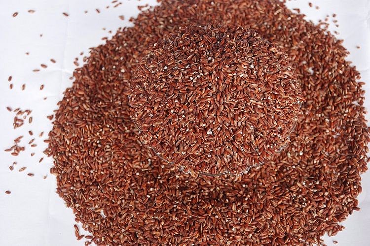 Photo essay: Navara, the medicinal 'wonder rice' grown in Kerala's Palakkad