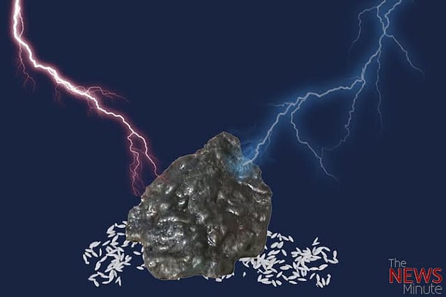 The Rice Puller scam: Conmen have made millions duping people with the ...