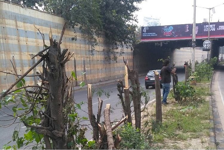 Tree murderers strike again in Bengaluru: 30 trees mutilated for hoarding