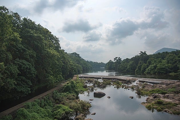 Protecting forests with law: What Tamil Nadu can learn from Kerala’s ...