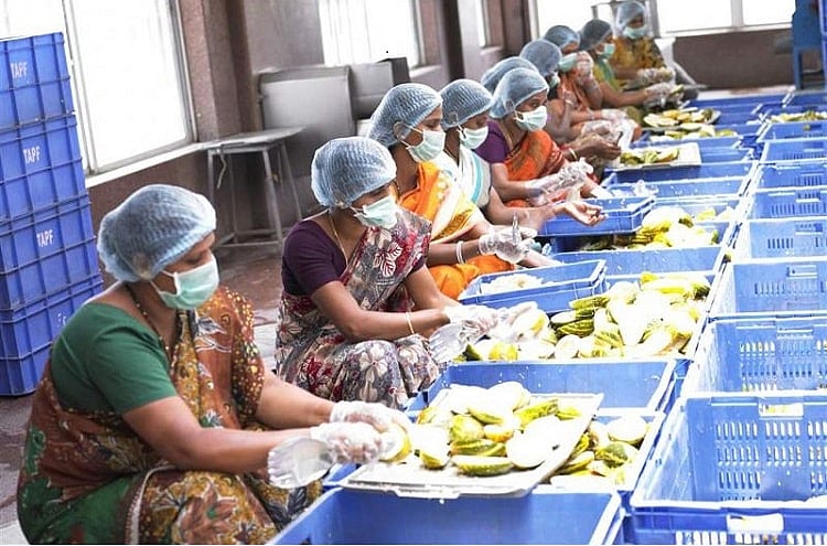 ISKCON may lose Indira Canteen contract for refusing to use onion and ...