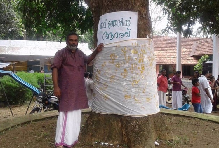 Kerala's tree doctor: Meet Binu who is determined to save 'sick' trees ...