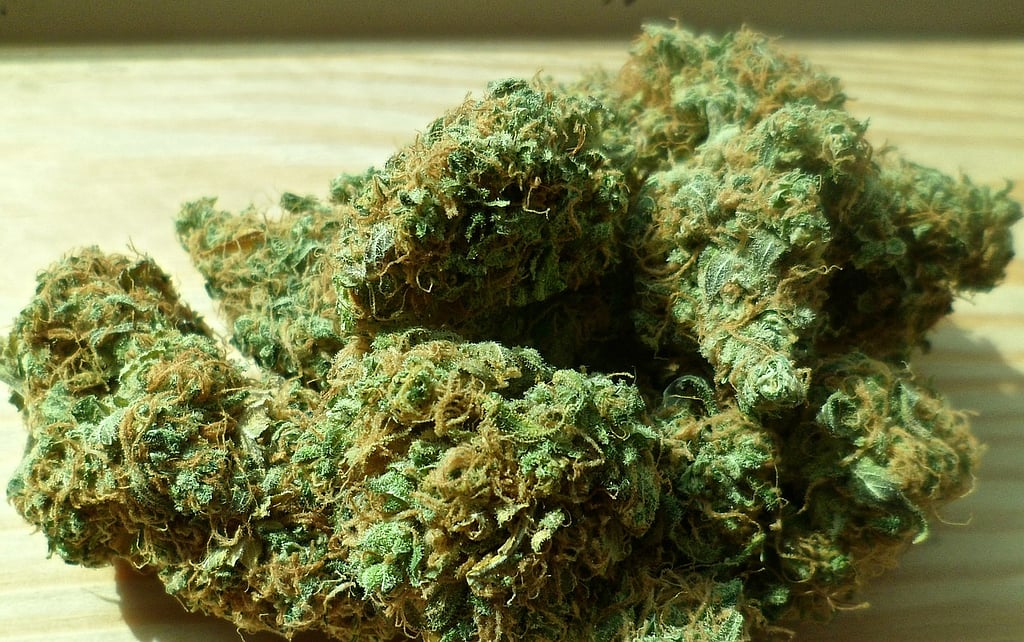'Ganja Rani' Krishnaveni, 76-year-old, arrested for peddling weed