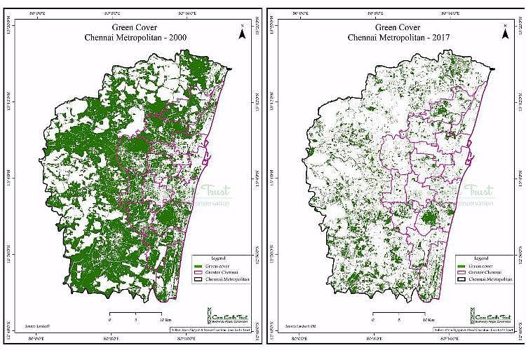 Why Chennai needs greenery typical to its landscape and not exotic species