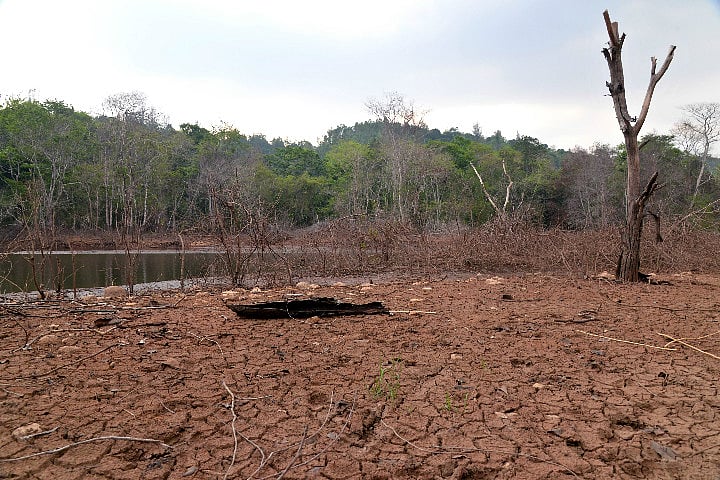 Infographic: Climate change and 2015's year of wild weather