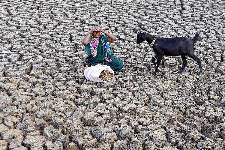 Rain-deficit 23 districts in Karnataka declared drought-hit