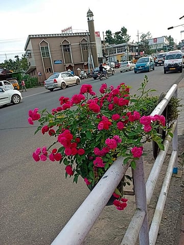 Sulthan Bathery: The journey from an ammunition depot to Kerala’s ...