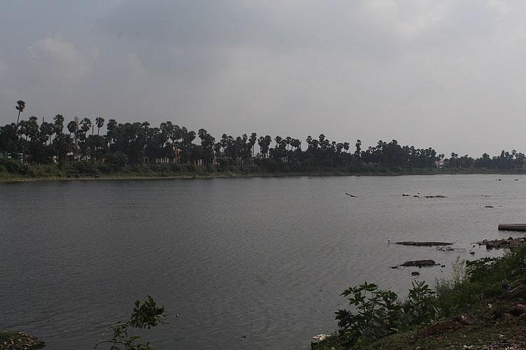 Success story: How an NGO and local residents joined hands to ...
