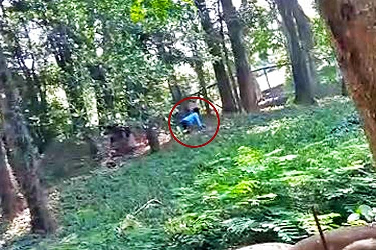Man jumps into lion’s enclosure at Kerala zoo, gets rescued in the nick ...