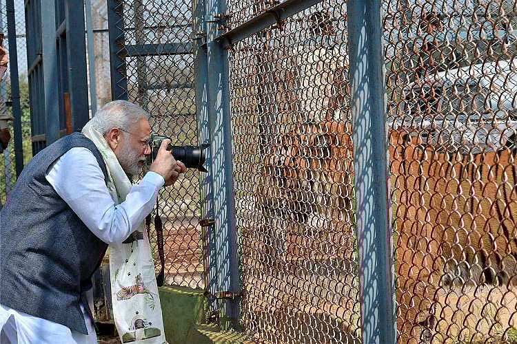 When PM Modi’s tryst with wildlife photography led to hilarious memes ...