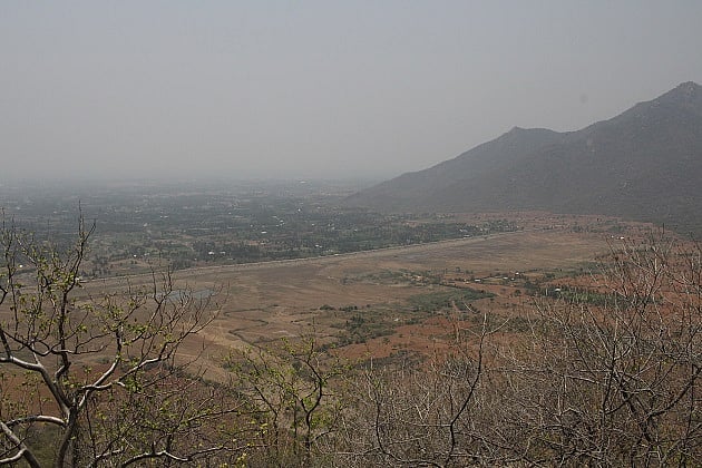Whose forest is it anyway? Tamil Nadu’s disastrous disregard for the ...