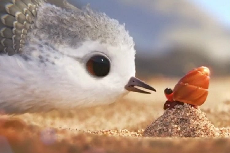 Disney-Pixar's short film ‘Piper’ is the most adorable thing you'll ...