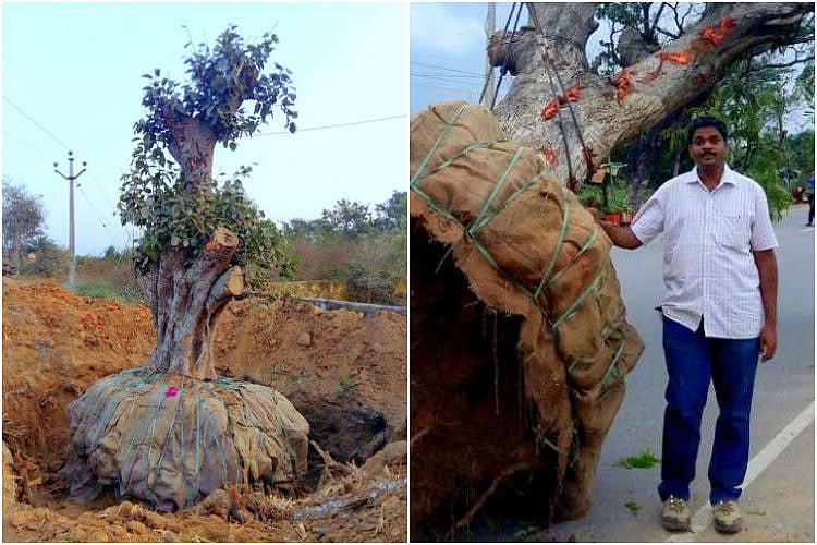 Don't cut trees, just move them instead; this Hyderabad man shows you how