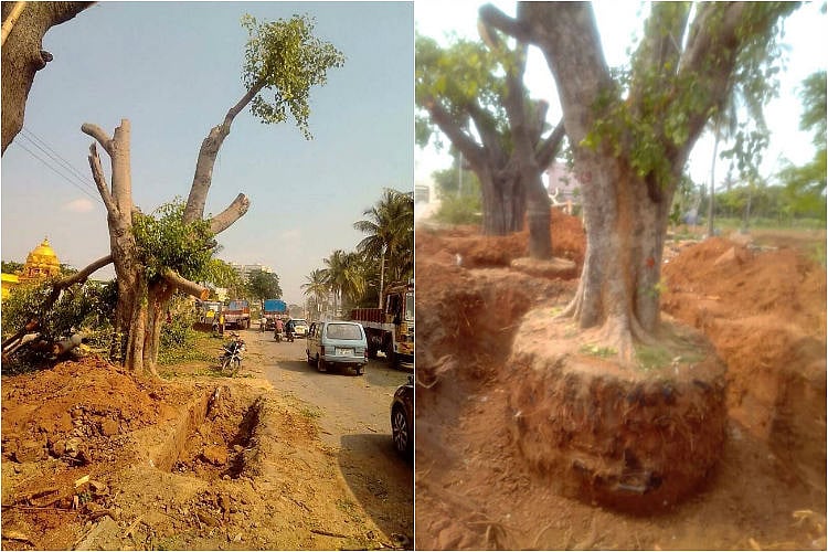 Good Samaritans: B’luru residents pull off crowdfunding campaign to ...