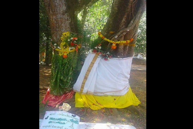 Deep rooted love: Meet the banyan and mango trees who got married after ...