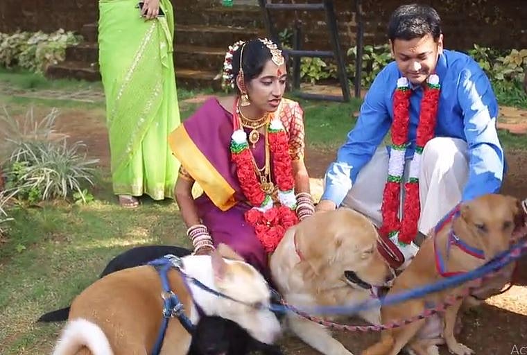 Vegan paneer masala, pet guests, entry in a Batmobile: Indian weddings ...