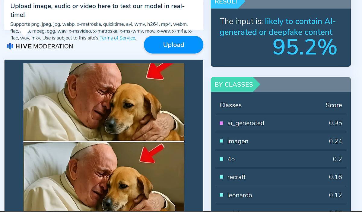 Fact-check | AI-Generated Image of Pope Francis With a Dog Goes Viral ...