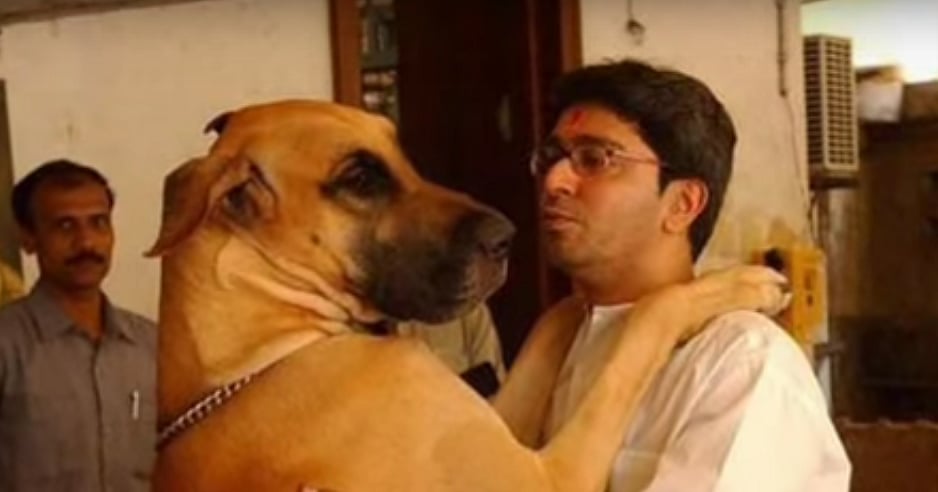 Bond Bites Thackeray’s Wife, Lands Her in Hospital