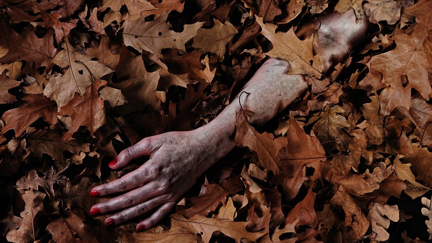 5 ‘True Story’ Murder Films, That’ll Give You Some Serious Chills