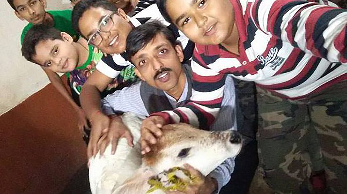 Move Over Selfie: NGO Holds Cowfie to Raise Awareness About Cow