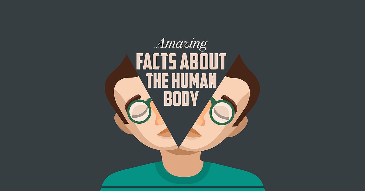 InfographiQ: Amazing Facts About the Human Body